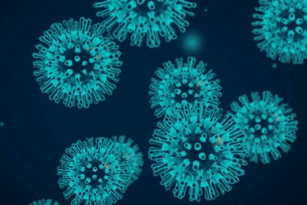 MUSICO Reizen - MUSICO Reizen