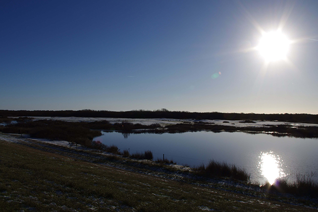 MUSICO Reizen - MUSICO Reizen